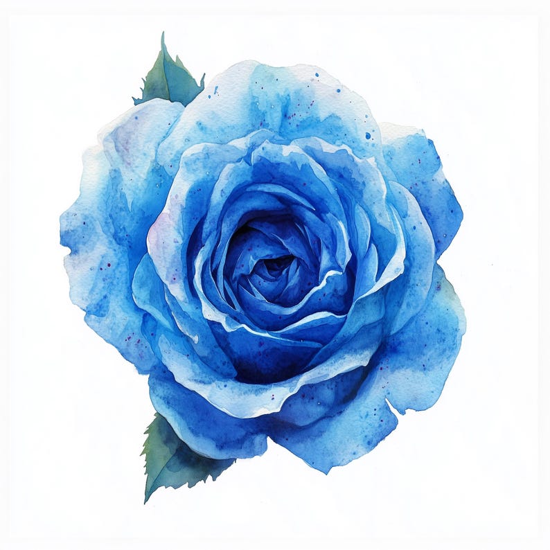 Watercolor Blue Roses Clip Art, PNG Floral Bouquet Rose Clipart ...
