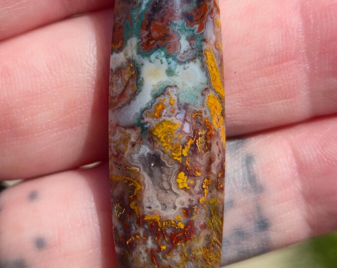 Coprolite (agatized Dino Poo) Cabochon - Etsy