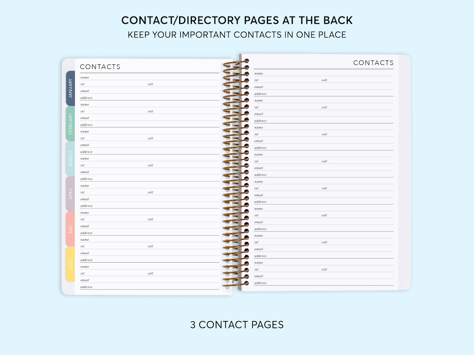 DAILY PLANNER - Personalized Productivity Planner - 2026 - 6x9 Hourly ...