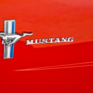Ford Mustang Logo & Lettering Car Printable Artwork Digital Download ...