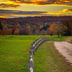 Path to Tranquility, Fall Tree Photo Art, Autumn Photography ...