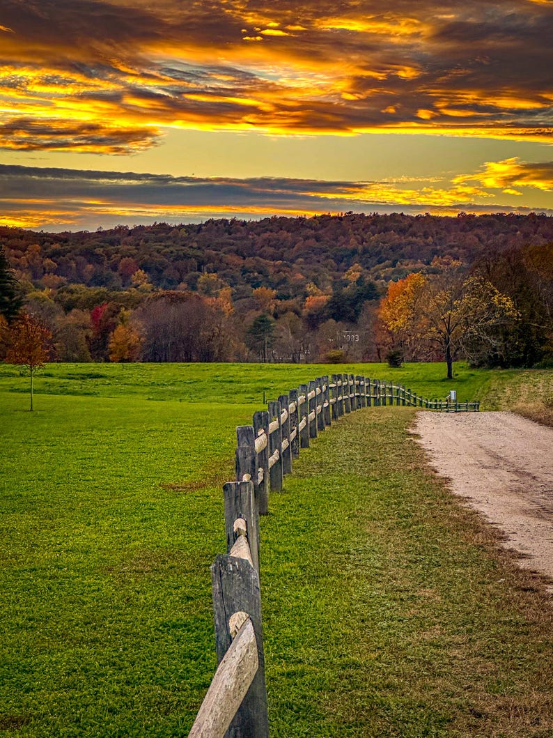 Path to Tranquility, Fall Tree Photo Art, Autumn Photography ...