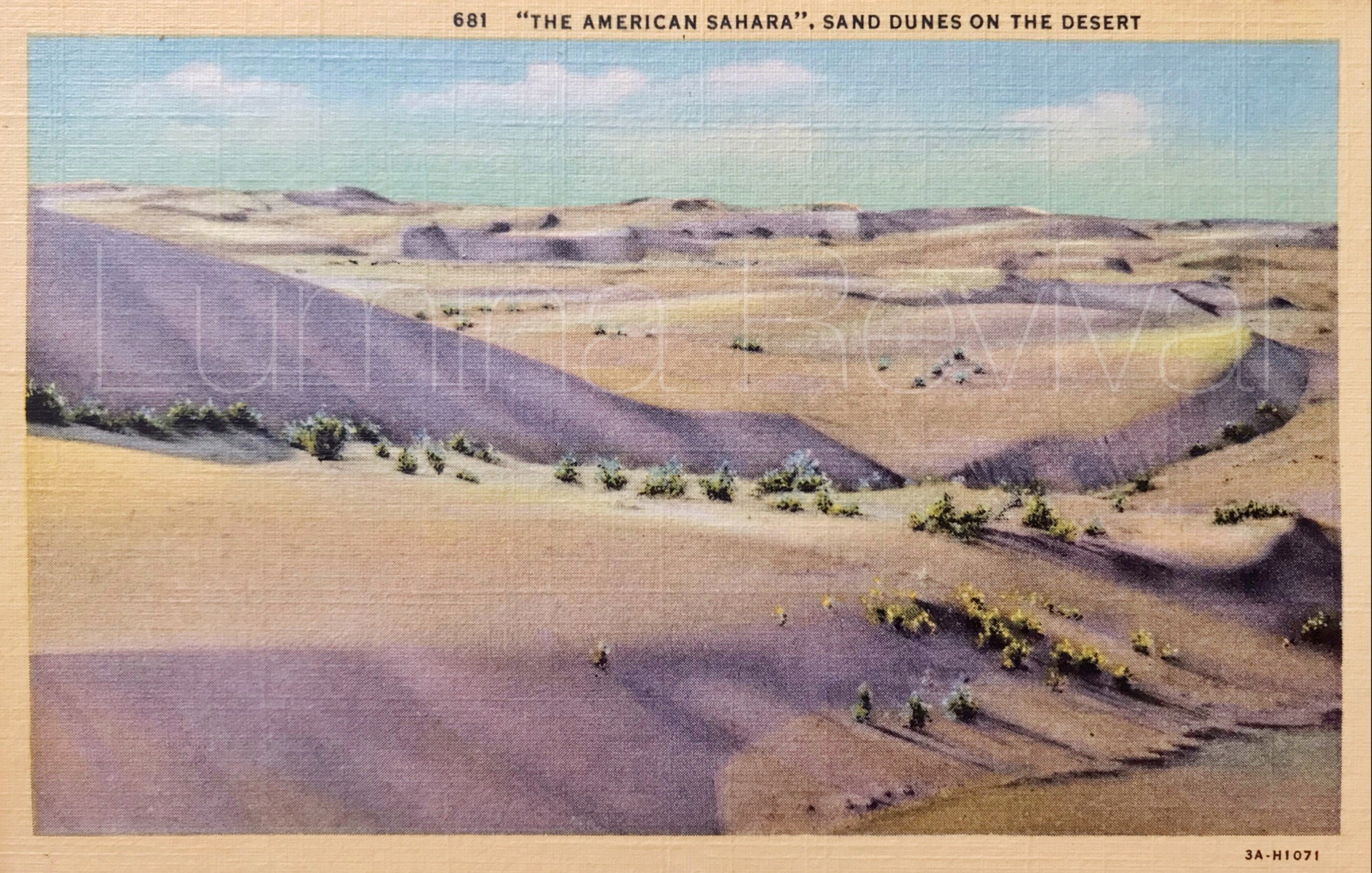 Retro 1940s Vintage Desert Sand Dune Postcard INSTANT - Etsy