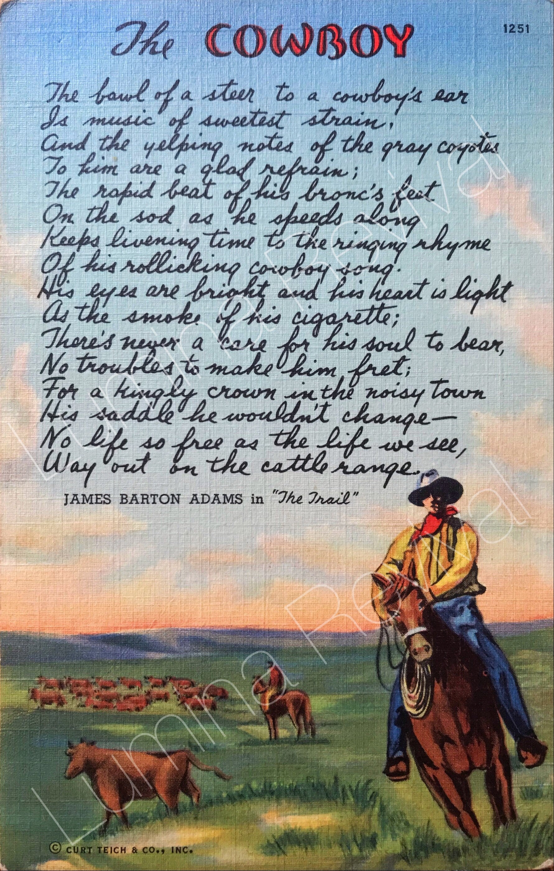 Vintage Cowboy Postcard