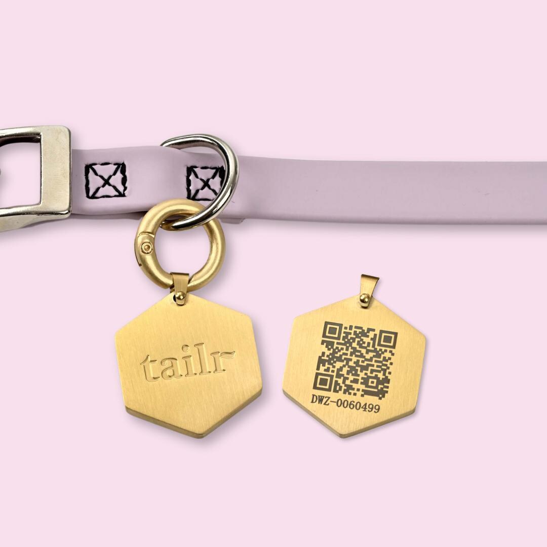 Luxury Qr Code Pet Id Tag Pet Management App Etsy