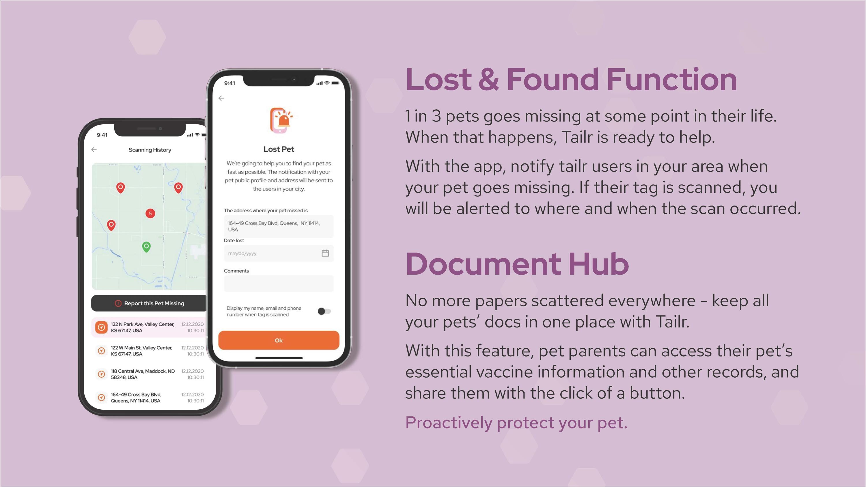 Luxury Qr Code Pet Id Tag Pet Management App Etsy
