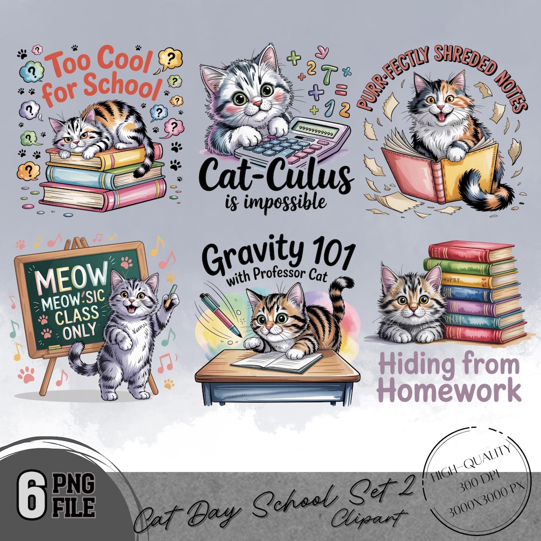 Back to School Cat Clipart, Kitten Teacher PNG Bundle - Etsy
