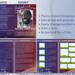 Patriotic Army Program Template | 8.5"x11" Funeral Memorial ...