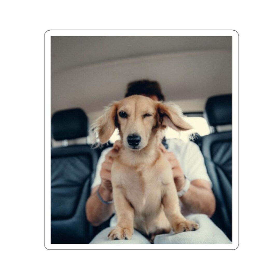 Leo Leclerc Winking Puppy Die-cut Sticker | Charles Leclerc Inspired ...