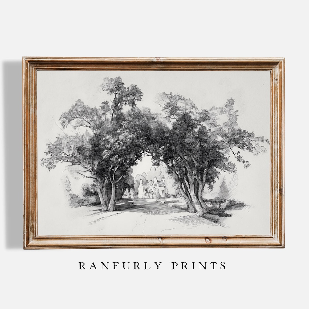 Tree Archway Pencil Sketch – Grand Estate Entrance Drawing – Monochrome ...
