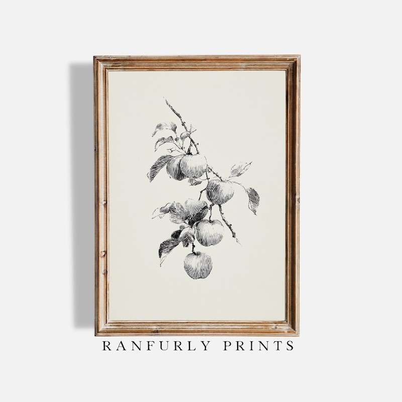 Fruit Drawing Black White - Etsy