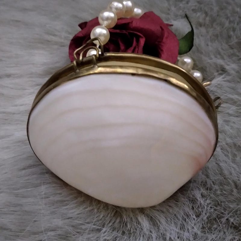 Shell Coin Purse - Etsy
