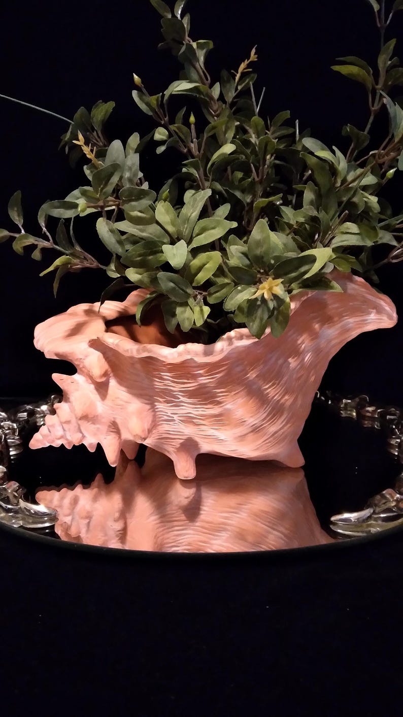 Vintage Large Atlantic Mold Co Ceramic Conch Shell Planter/decor ...