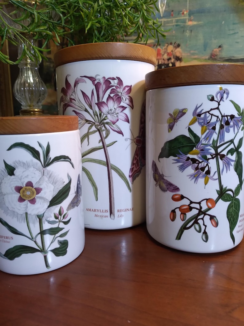 Vintage Portmeirion Botanic Garden Storage Jar W Lid Set of (3 ...