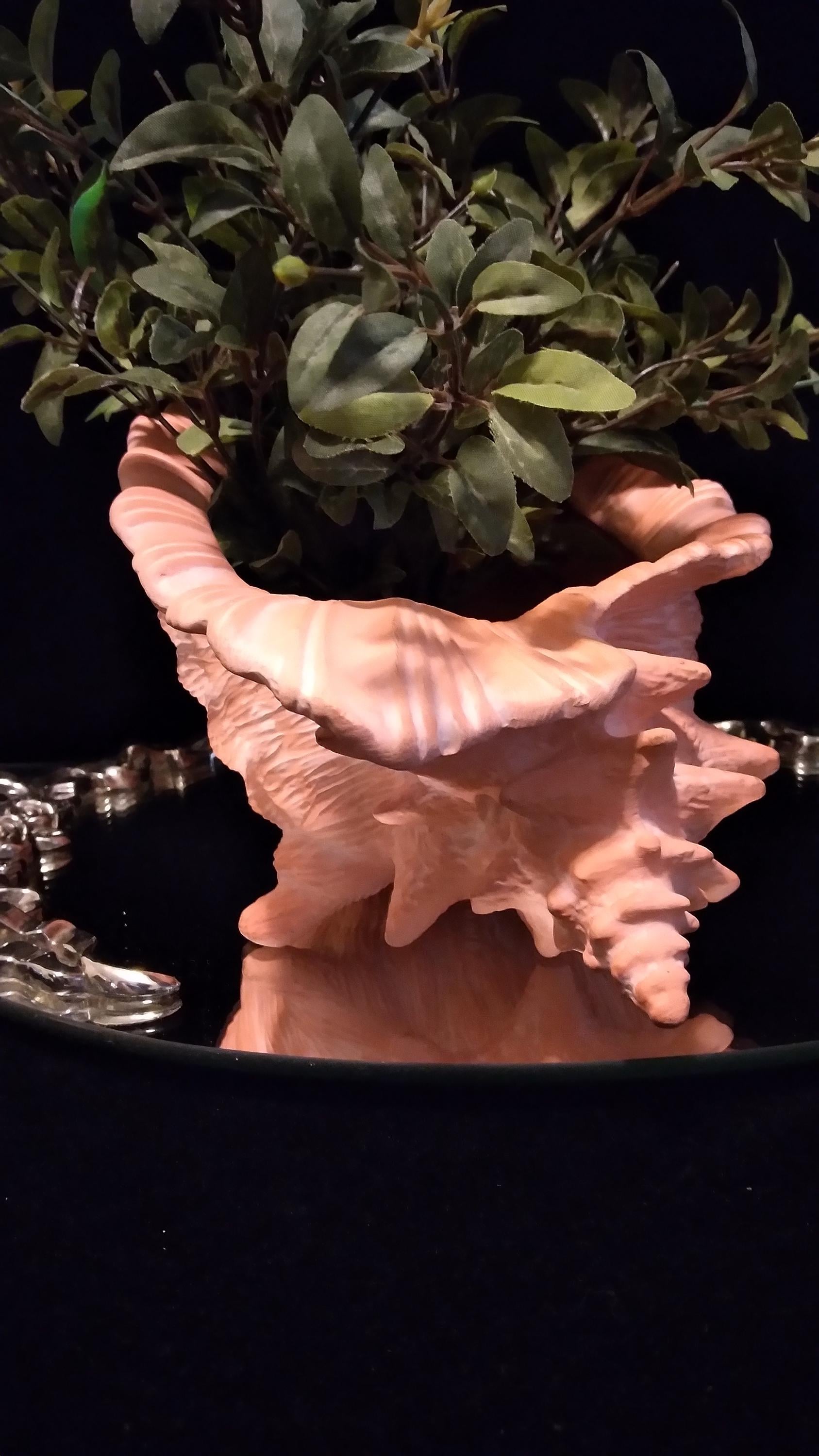 Vintage Large Atlantic Mold Co Ceramic Conch Shell Planter/decor ...