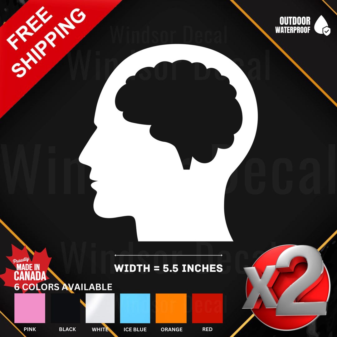 Brain Inside Head Decal: Anatomical Vinyl Sticker (5.5") - Etsy