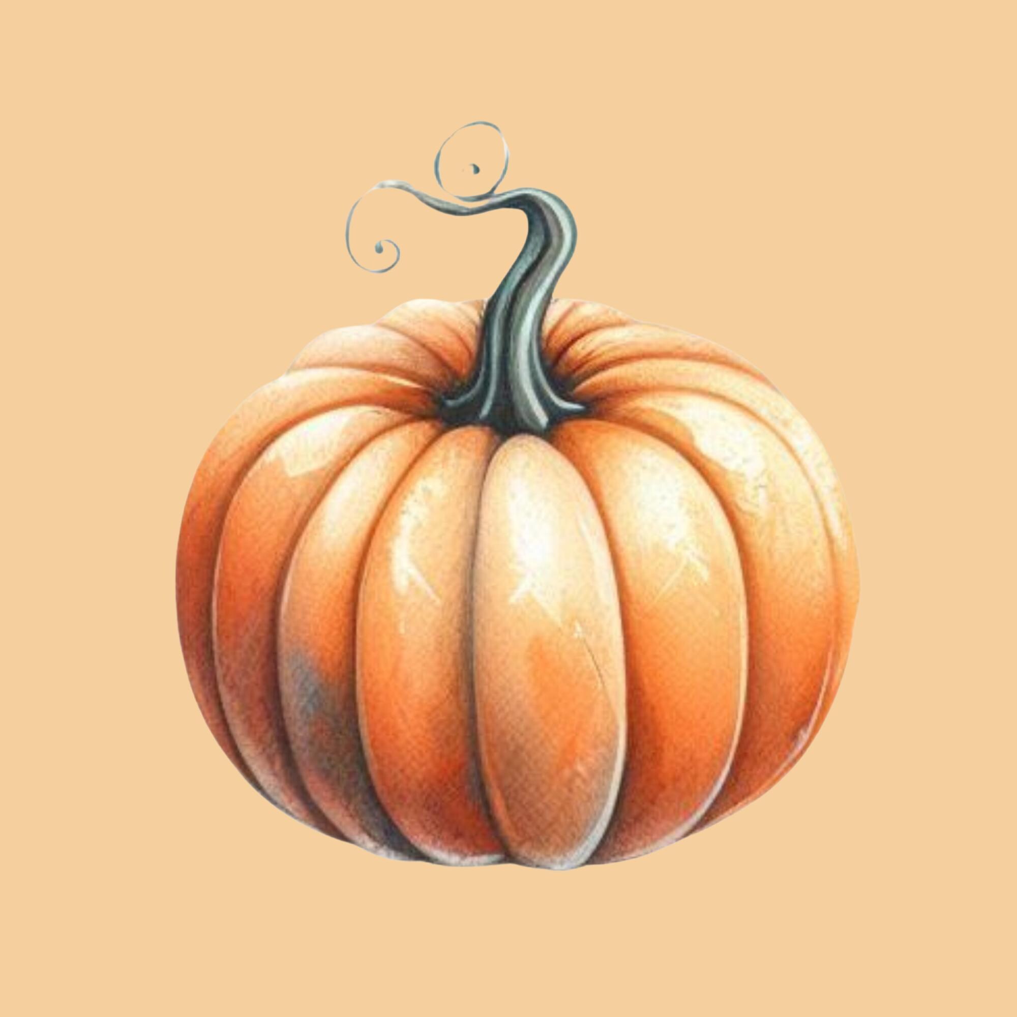 25 Boho Pumpkin Clipart Pumpkin Printable Autumn Clipart Fall Clipart ...