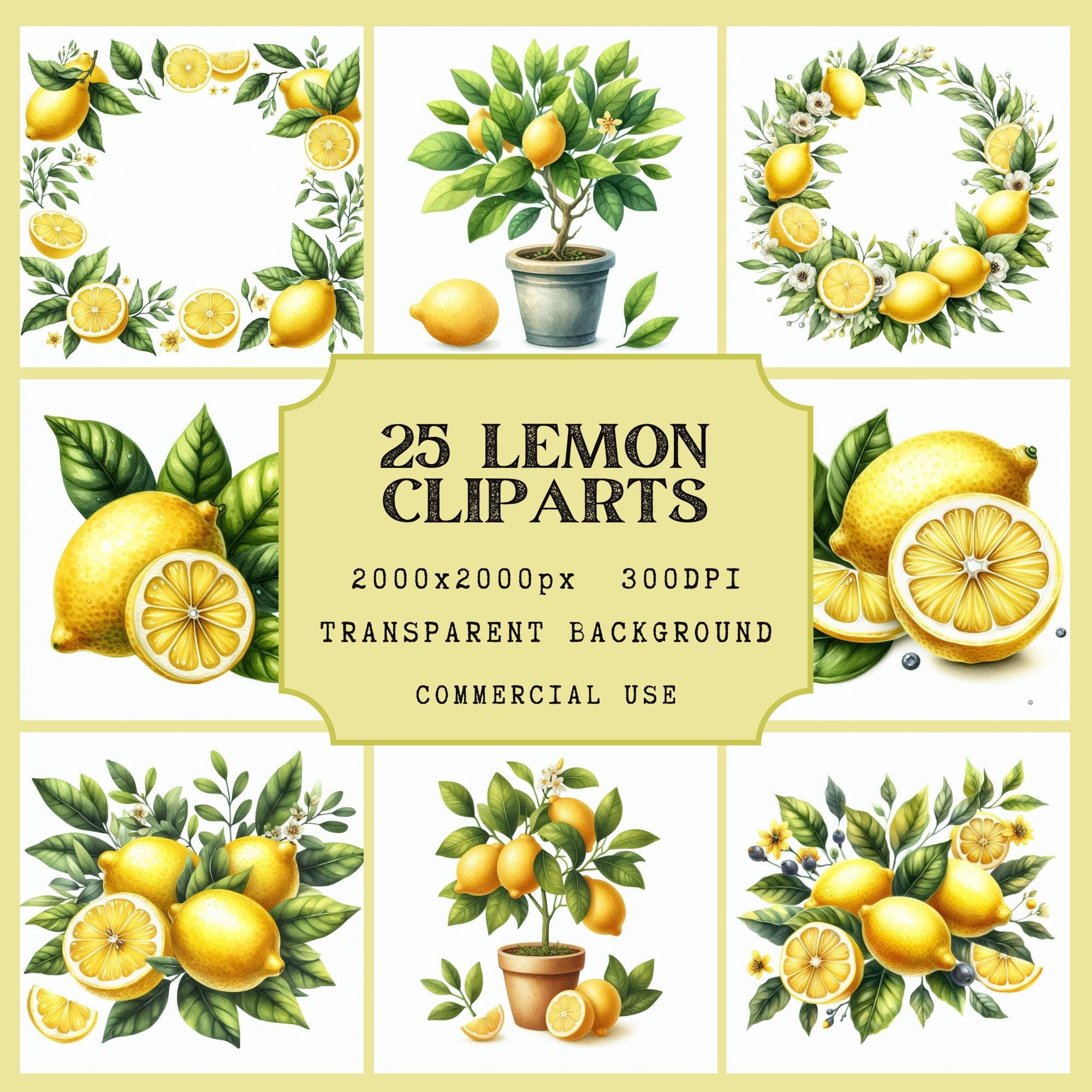 25 Lemon Clipart | Lemon PNG | Citrus Clip Art | Lemons Clipart ...