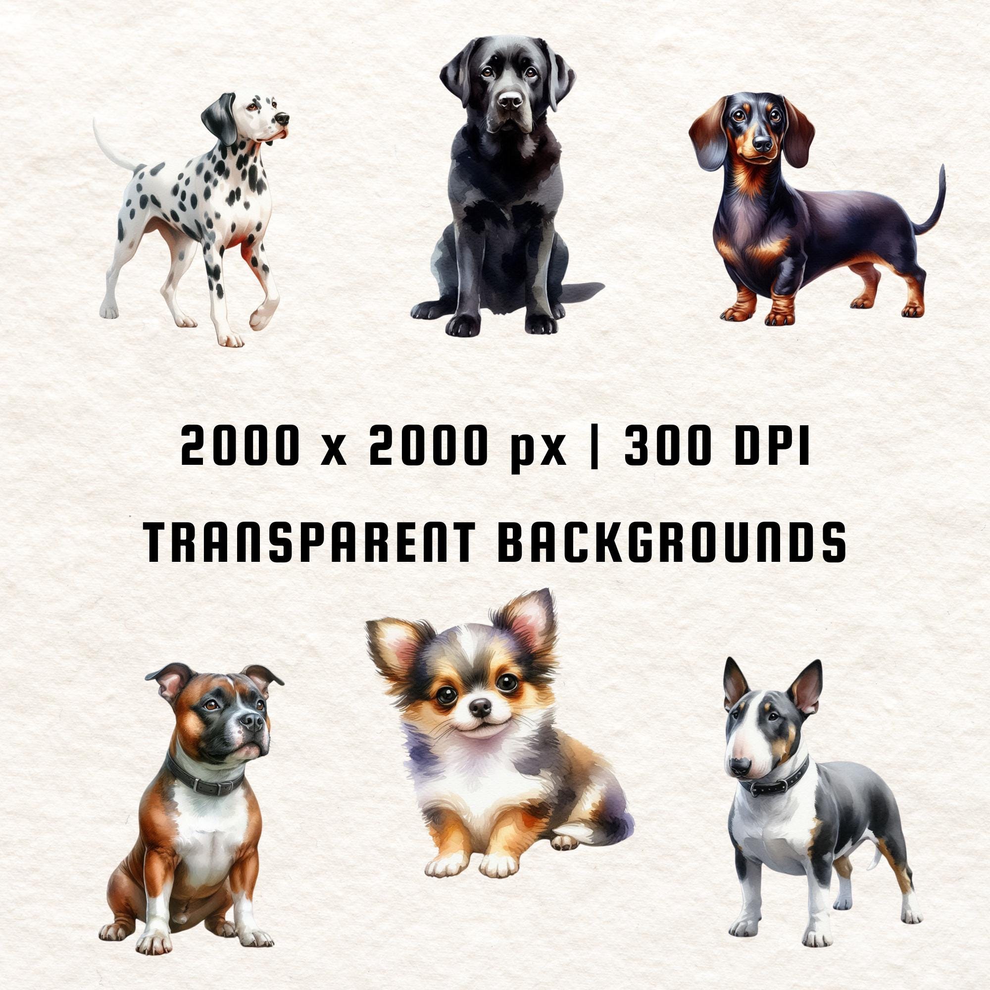 25 Dog Clipart | Dogs Clipart | Dog PNG | Puppy PNG | Dog Breeds | Pet ...