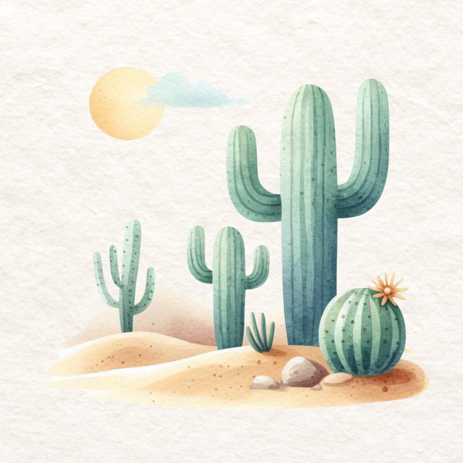 Watercolor Cactus Clipart Set: Desert Succulents PNG (digital Download ...