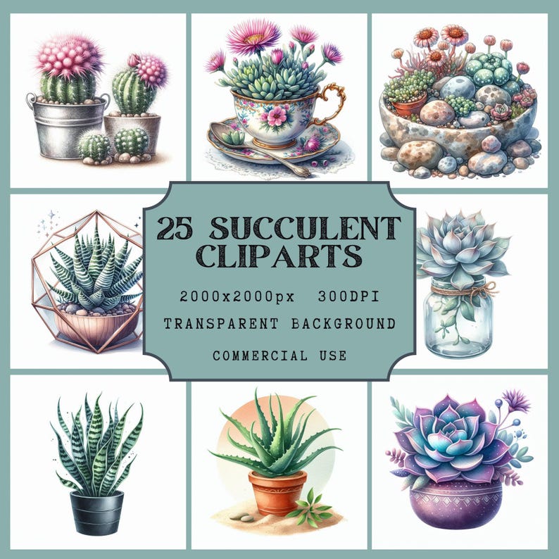 25 Succulent Clipart | Transparent Background | Succulents Clipart ...