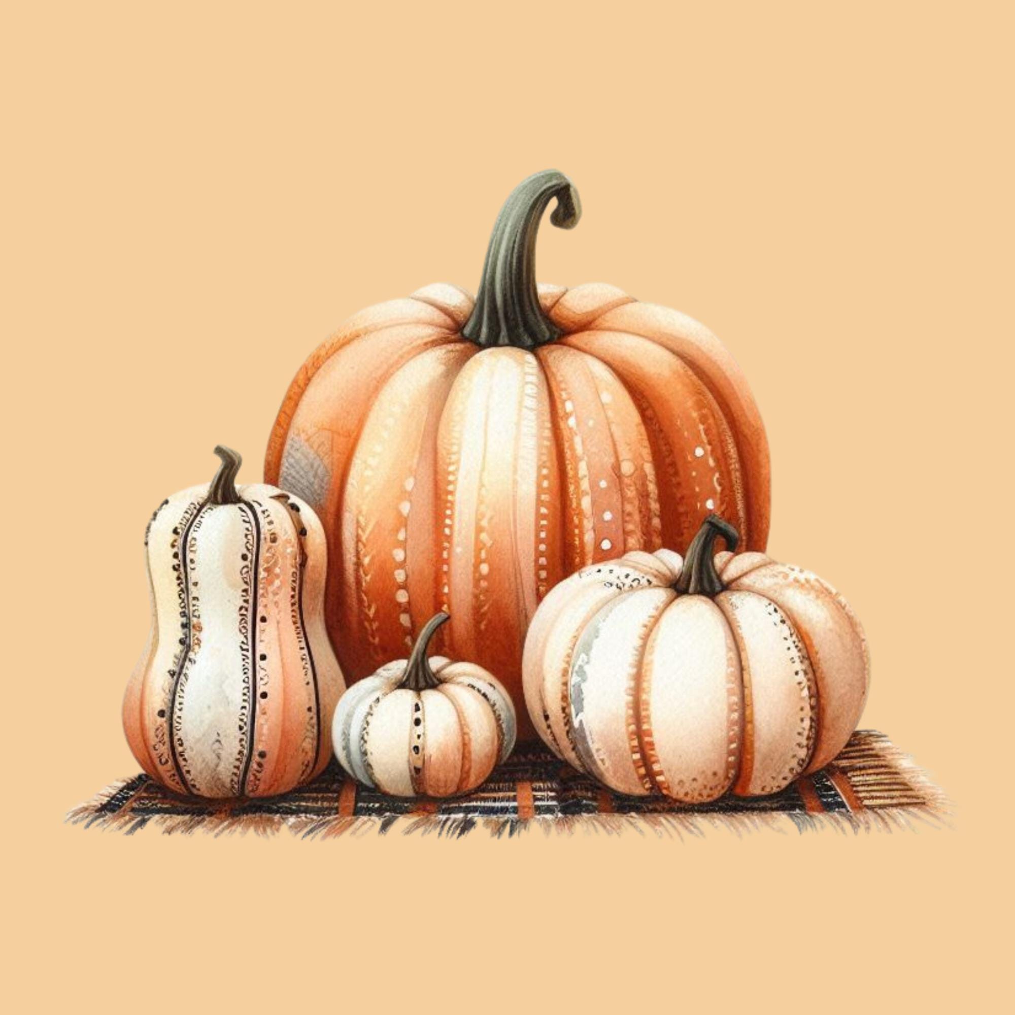 25 Boho Pumpkin Clipart Pumpkin Printable Autumn Clipart Fall Clipart ...