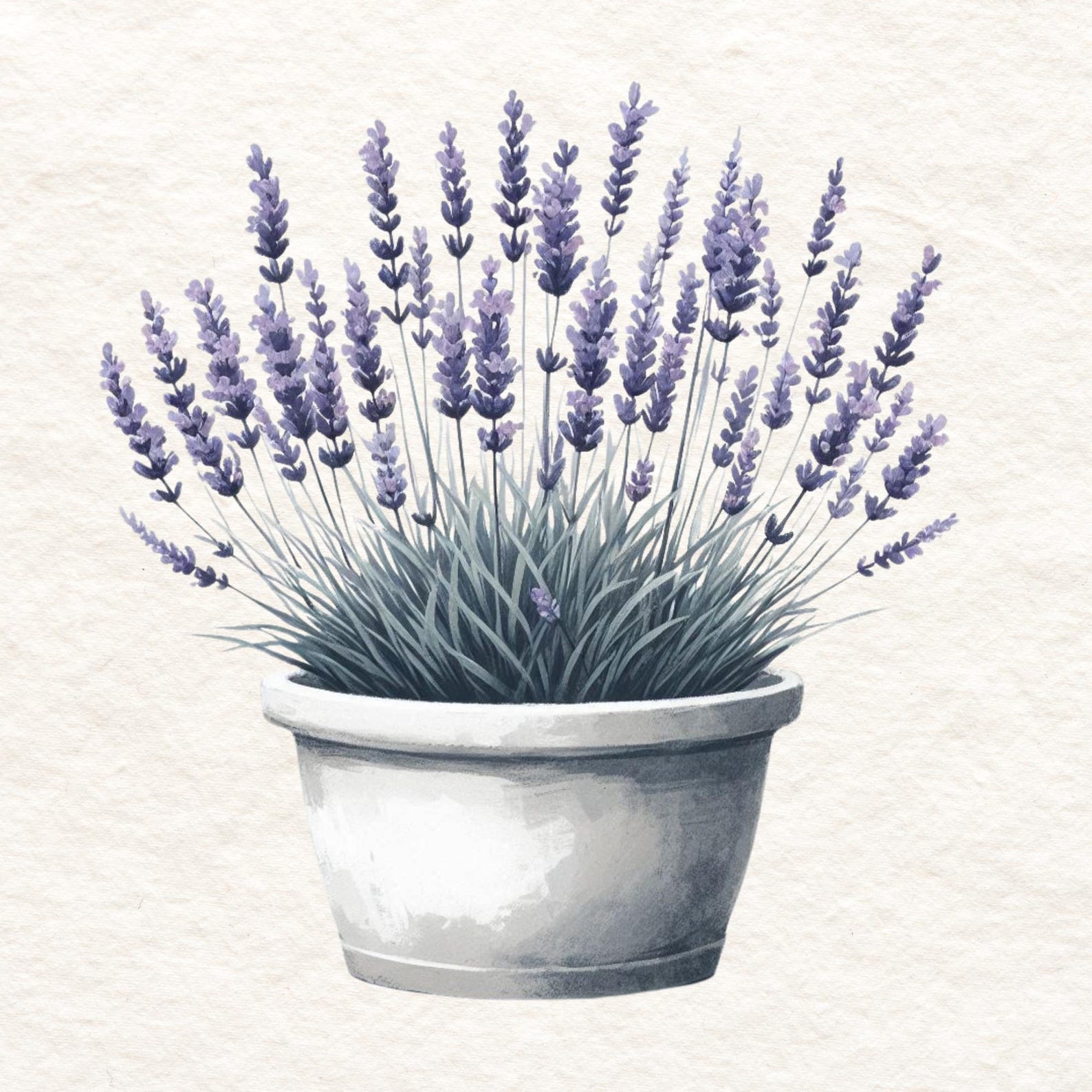 Watercolor Lavender Clipart Set: Floral PNG Images (digital Download ...
