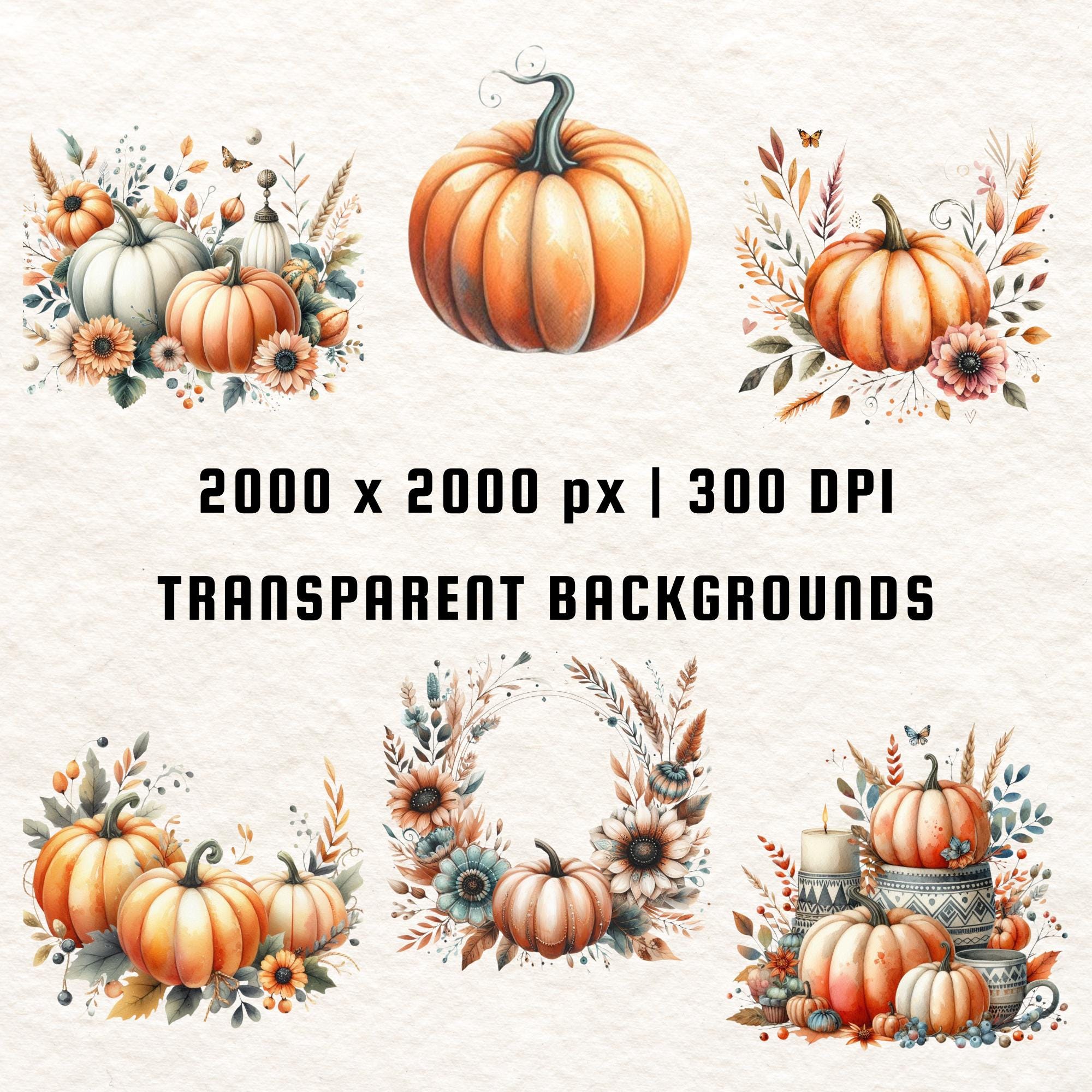 25 Boho Pumpkin Clipart | Pumpkin Printable | Autumn Clipart | Fall ...