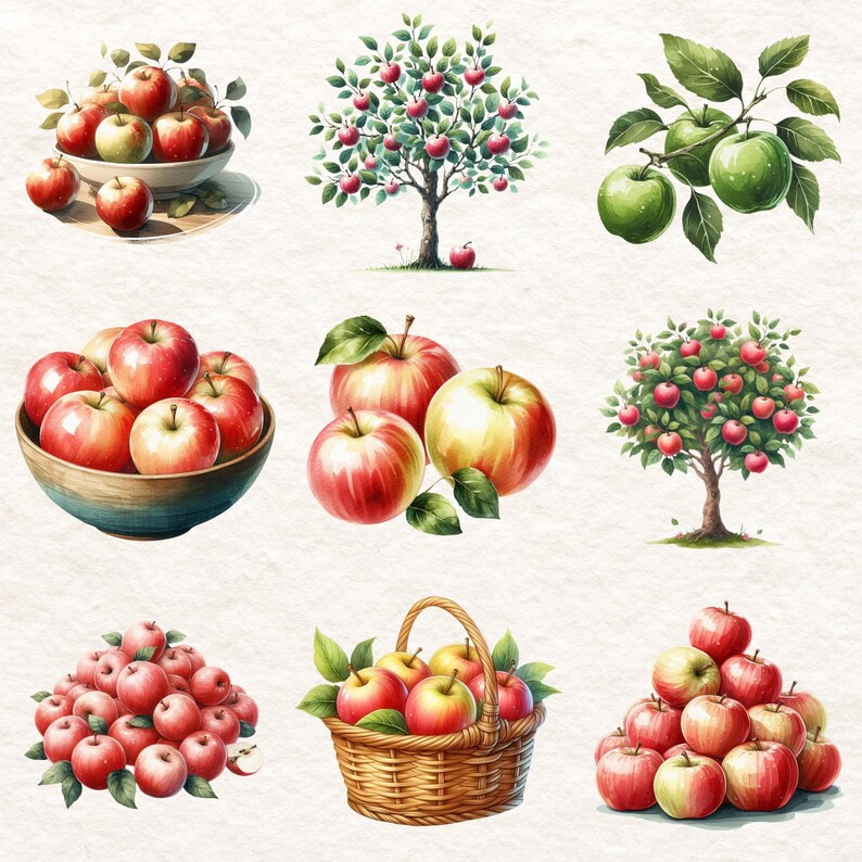 Watercolor Apple Clipart: Apple Tree PNG Set (digital Download) - Etsy