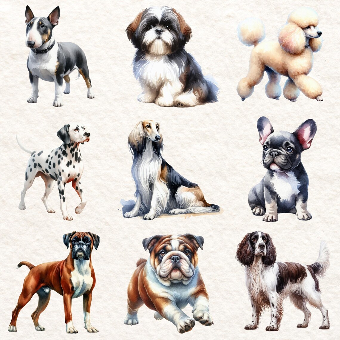 25 Dog Clipart | Dogs Clipart | Dog PNG | Puppy PNG | Dog Breeds | Pet ...