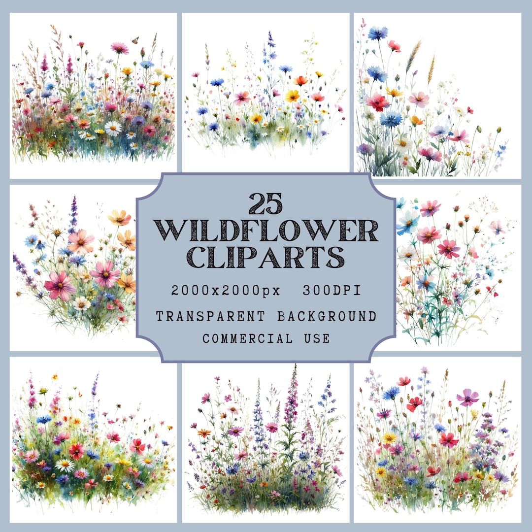 25 Wildflower Watercolor Clipart | Transparent Background | Watercolour ...