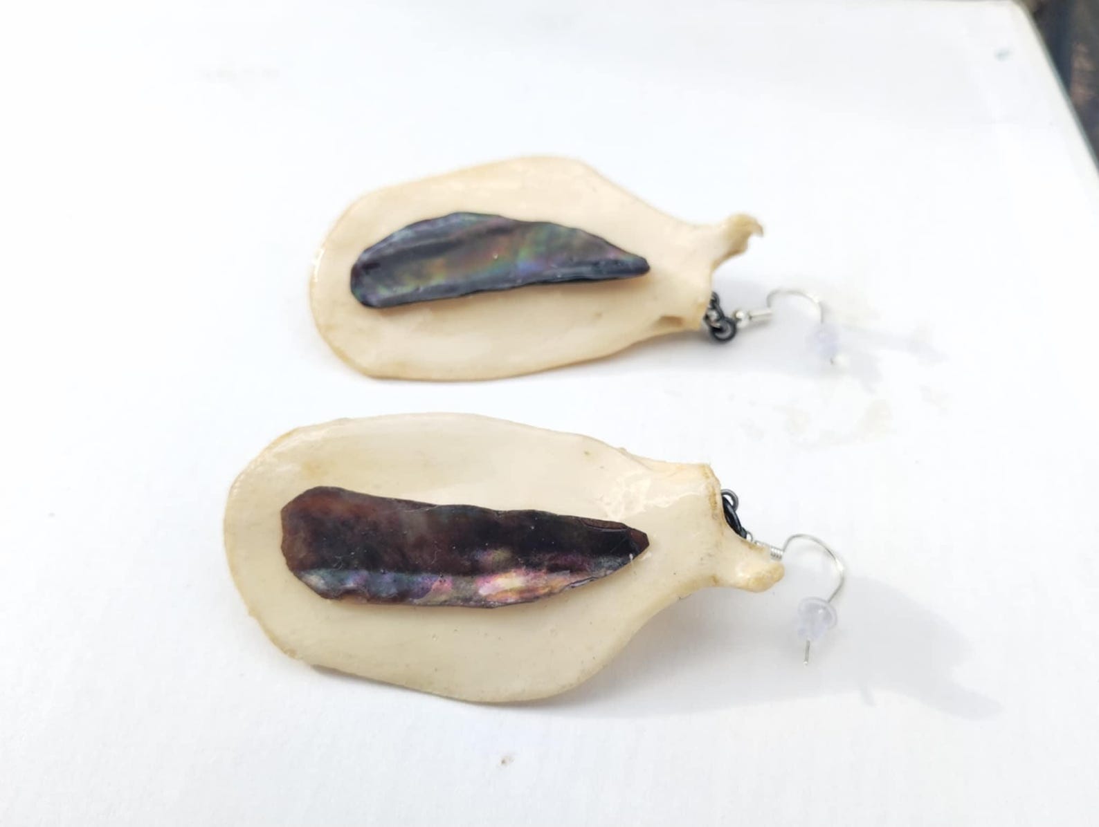 Possum Shoulder Bone Earrings Featuring Abalone Shell - Etsy