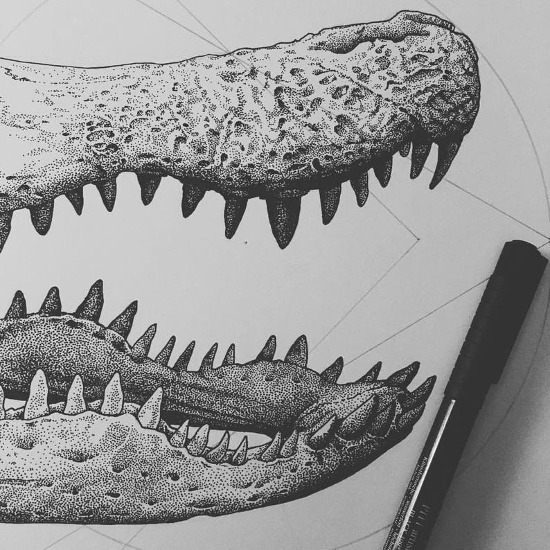Gator Skull, Stippling Pen & Ink Alligator Geometry Original Art Print ...