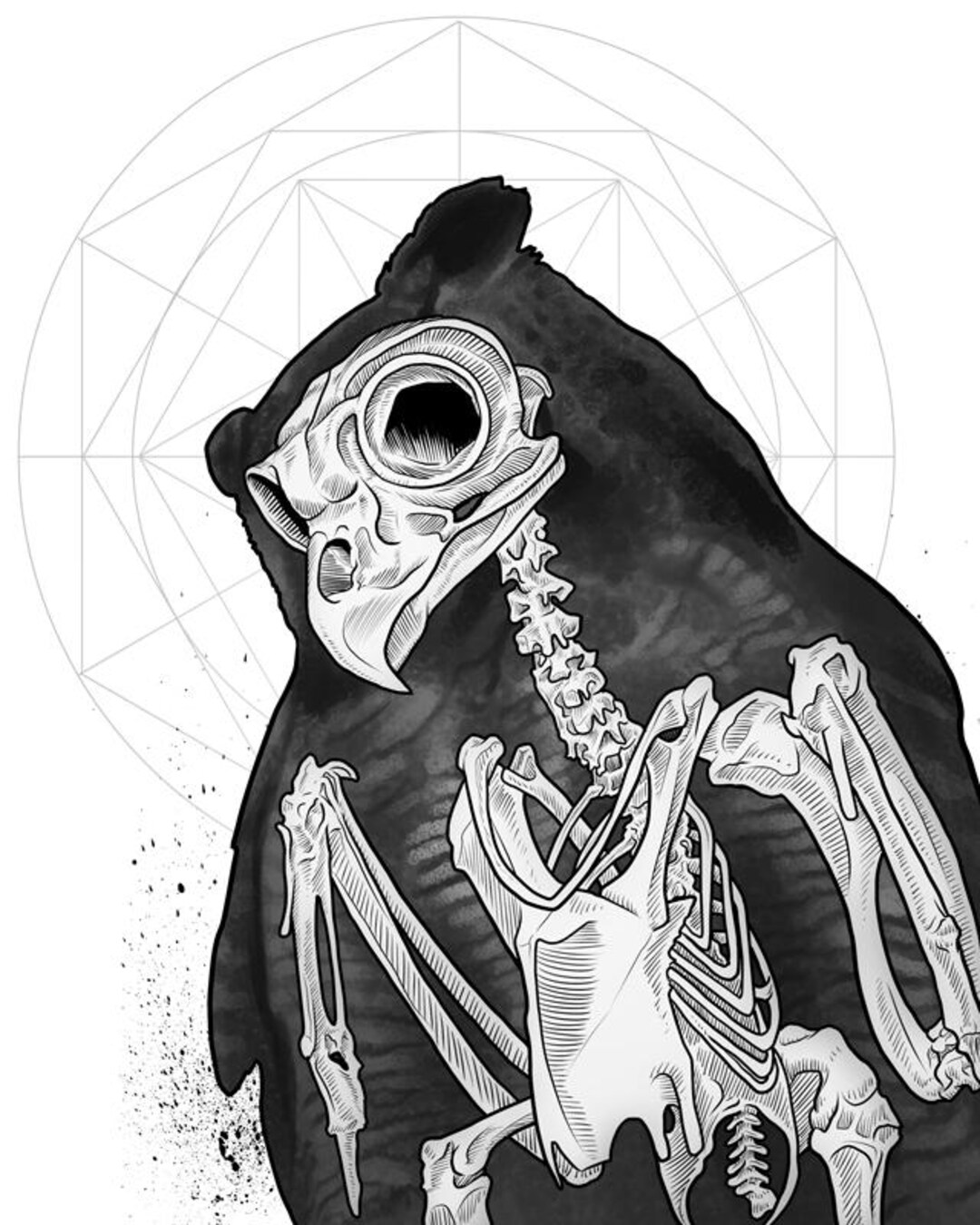 Great Horned Owl, Skeletal X-ray Original Art Print by Jason Kreiger - Etsy