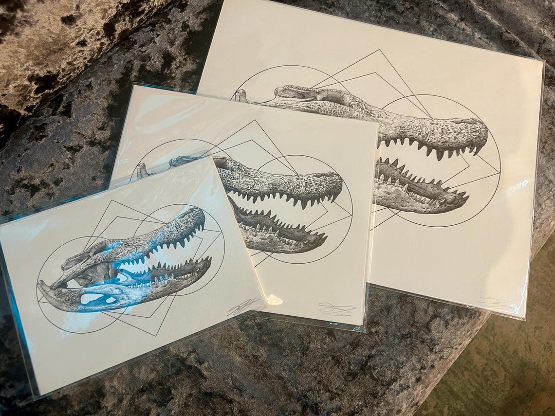 Gator Skull, Stippling Pen & Ink Alligator Geometry Original Art Print ...
