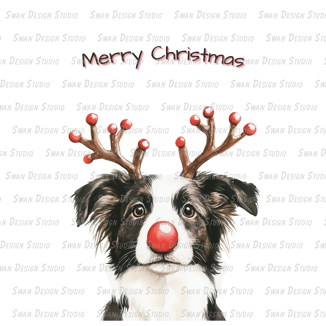 Merry Christmas Border Collie Reindeer Clipart, Holiday Pet Design, PNG ...