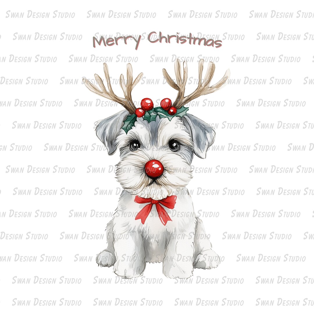 Miniature Schnauzer Puppy,merry Christmas Dog With Reindeer Antlers ...