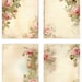 Vintage Roses - Paper Pack Includes: 12 Full Pages 8.5x11 Inches, Pink ...