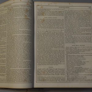1853 Noah Webster's American Dictionary of the English Language Leather ...