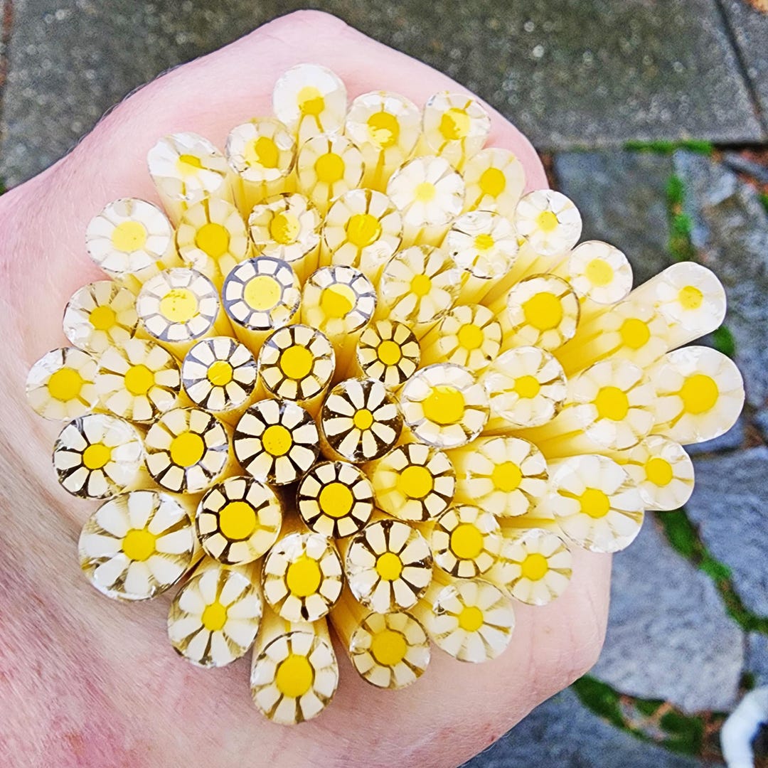 Coe 96 Flower: Favorite Daisy - 1 Oz Murrini Murrine Millefiori ...