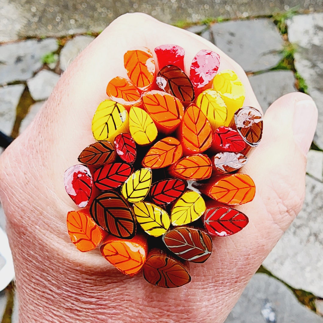 Coe 96 Leaf Mix: Autumn Colors - 2 Oz Murrini Murrine Millefiori ...