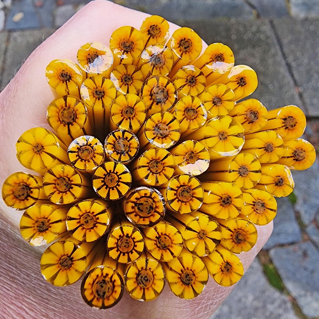 Coe 90 Flower: Splendid Sunflower - 1 Oz Murrini Murrine Millefiori ...