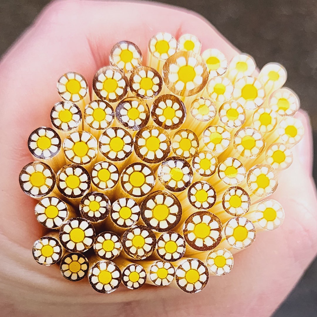 Coe 90 Flower: the Beauty of Simplicity - 1 Oz Murrini Murrine ...