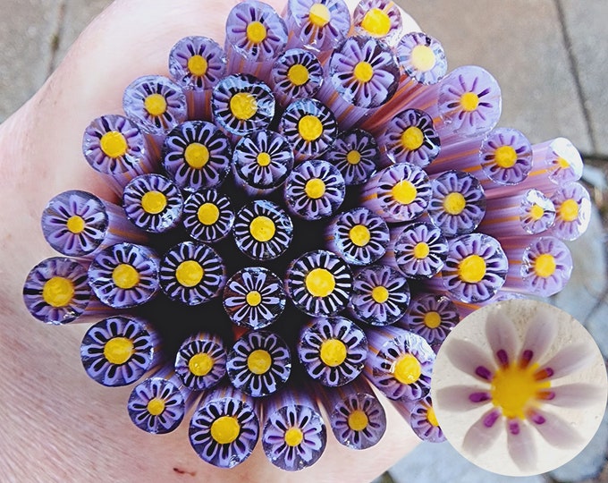 Coe 90 Flower: Grape - 1 Oz Murrini Murrine Millefiori Vitrigraph Cane ...