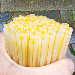 Coe 96 Flower: Favorite Daisy - 1 Oz Murrini Murrine Millefiori ...