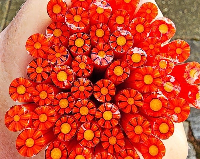 Coe 96 Flower: Sour Green Apple - 1 Oz Murrini Murrine Millefiori ...