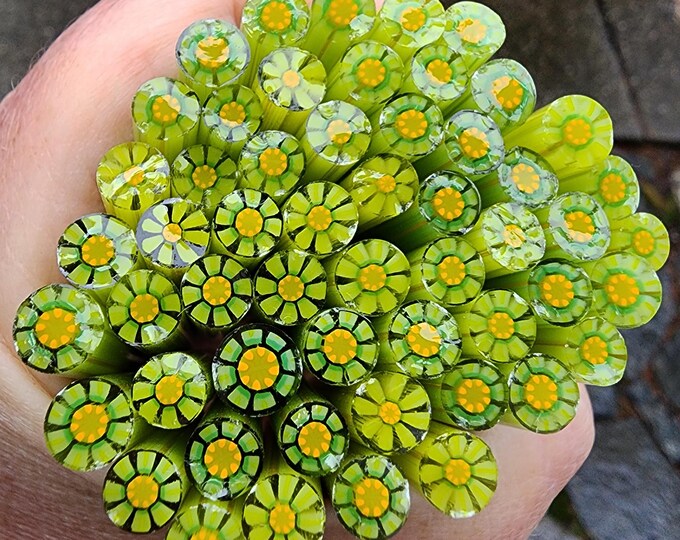 Coe 96 Flower: Forget-me-not - 1 Oz Murrini, Murrine, Millefiori ...