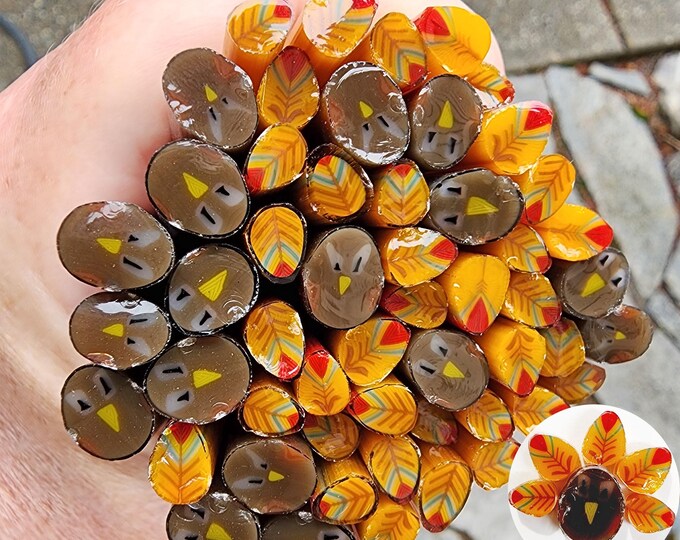 Coe 96 Thanksgiving: Let's Talk Turkey - 1 Oz Murrini Murrine ...