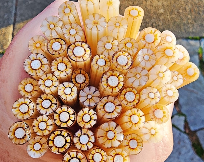 Coe 90 Flower: Beach House - 1 Oz Murrini Murrine Millefiori Vitrigraph ...