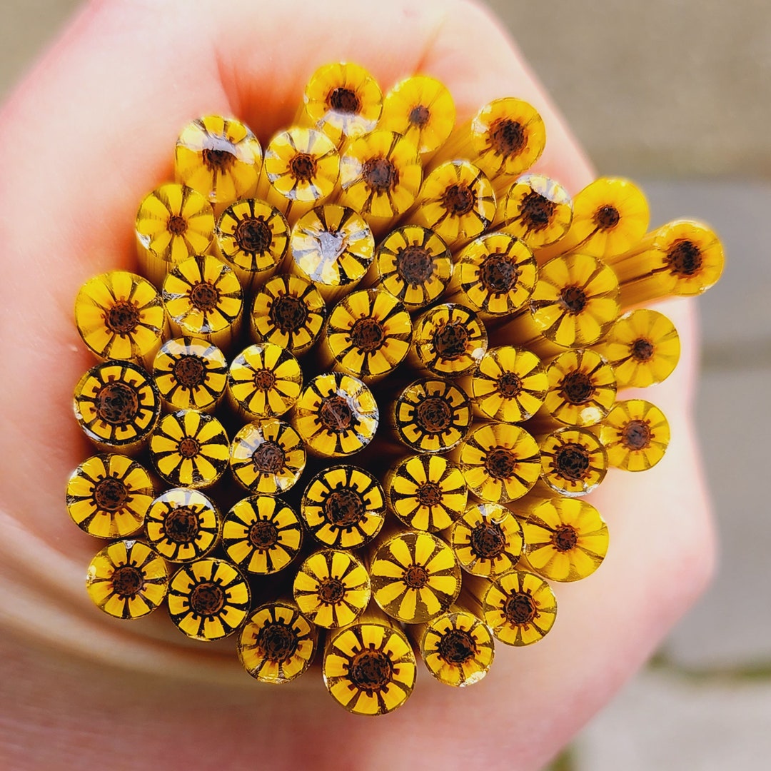 Coe 96 Flower: Super Sunflower - 1 Oz Murrini Murrine Millefiori ...